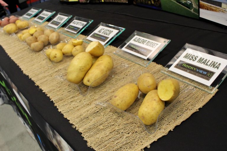 Potato Expo 2019 in pictures - Spudman