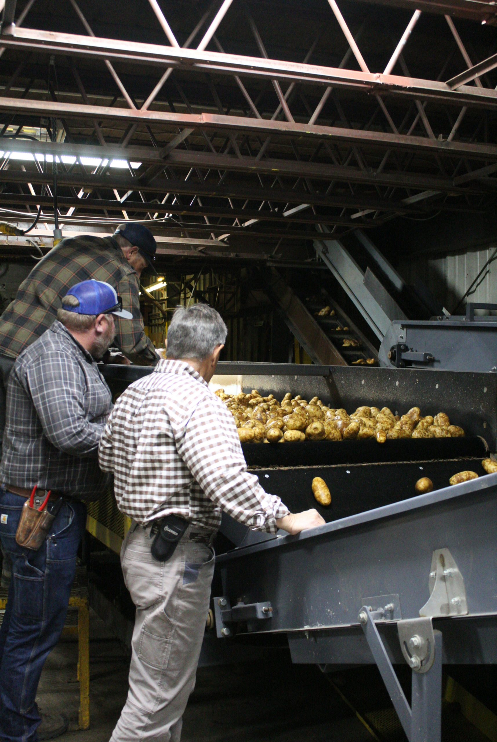 Adapting to change - Spudman