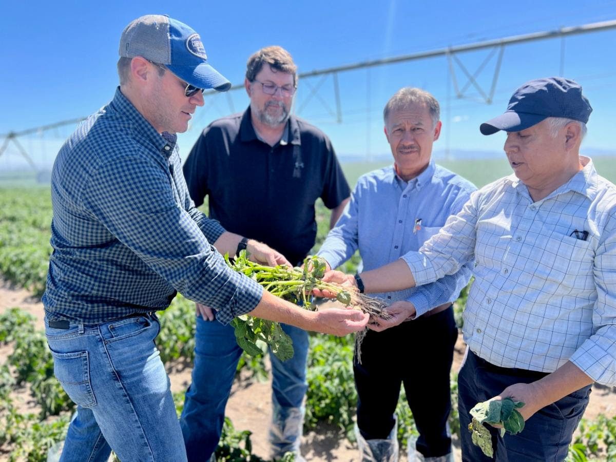 Mexican ag officials visit Colorado for potato site audit - Spudman