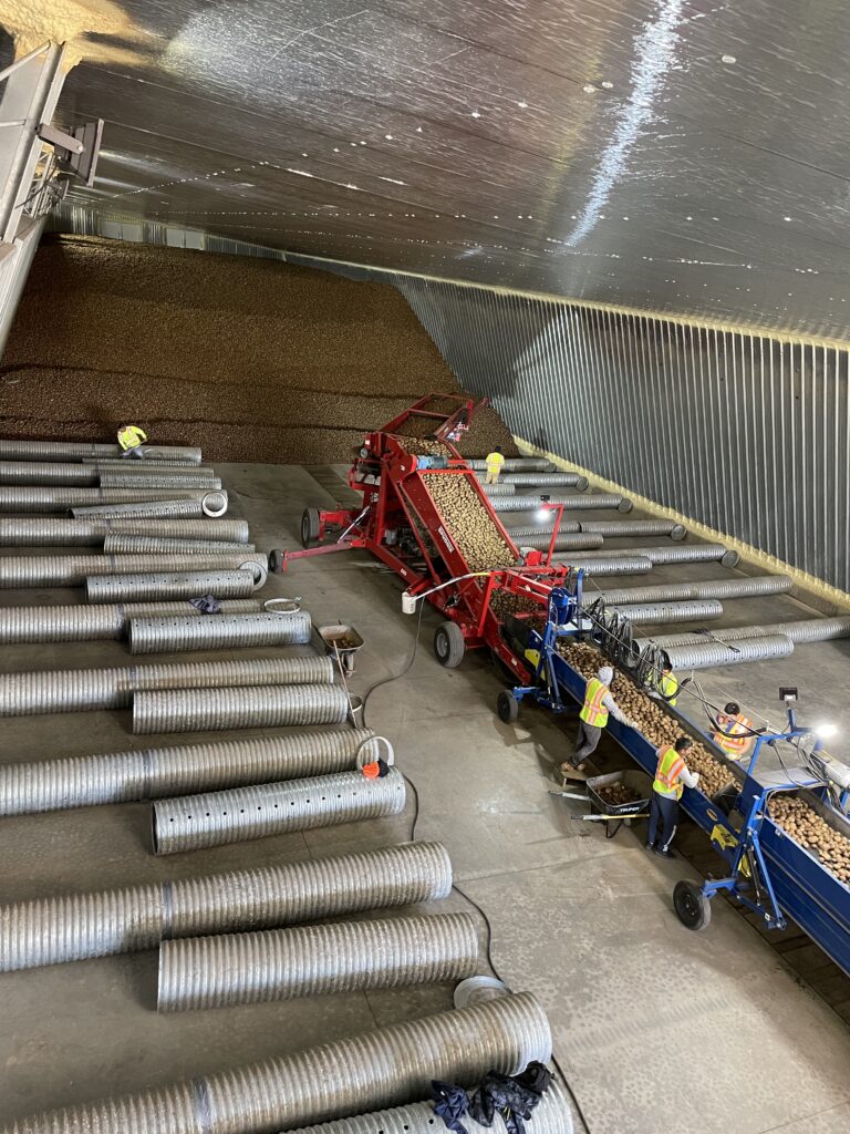 Potato storage 101: Fundamentals at work - Spudman