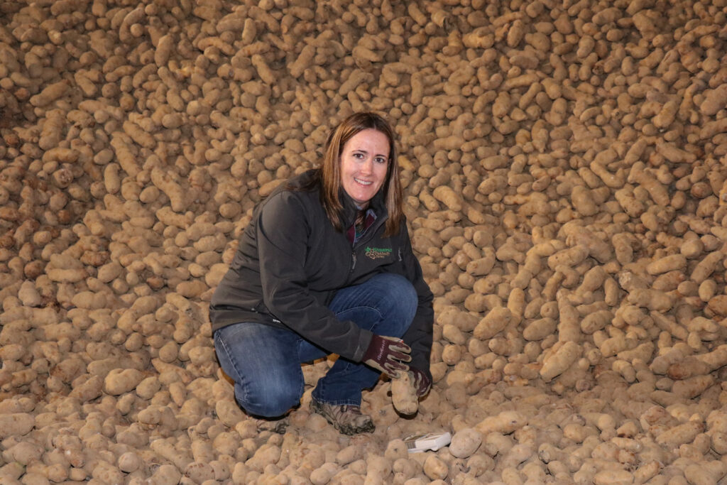 Innovation Hubs - Spudman