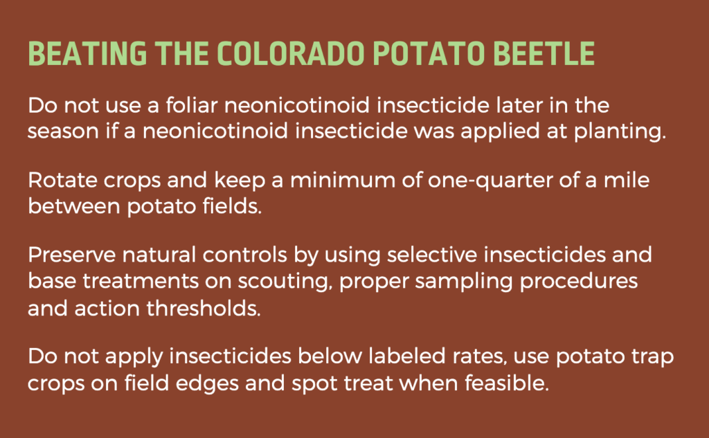 Neonicotinoids face growing resistance - Spudman