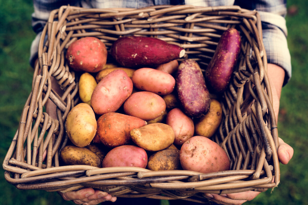 USDA announces $50 million surplus commodity purchase for potatoes ...